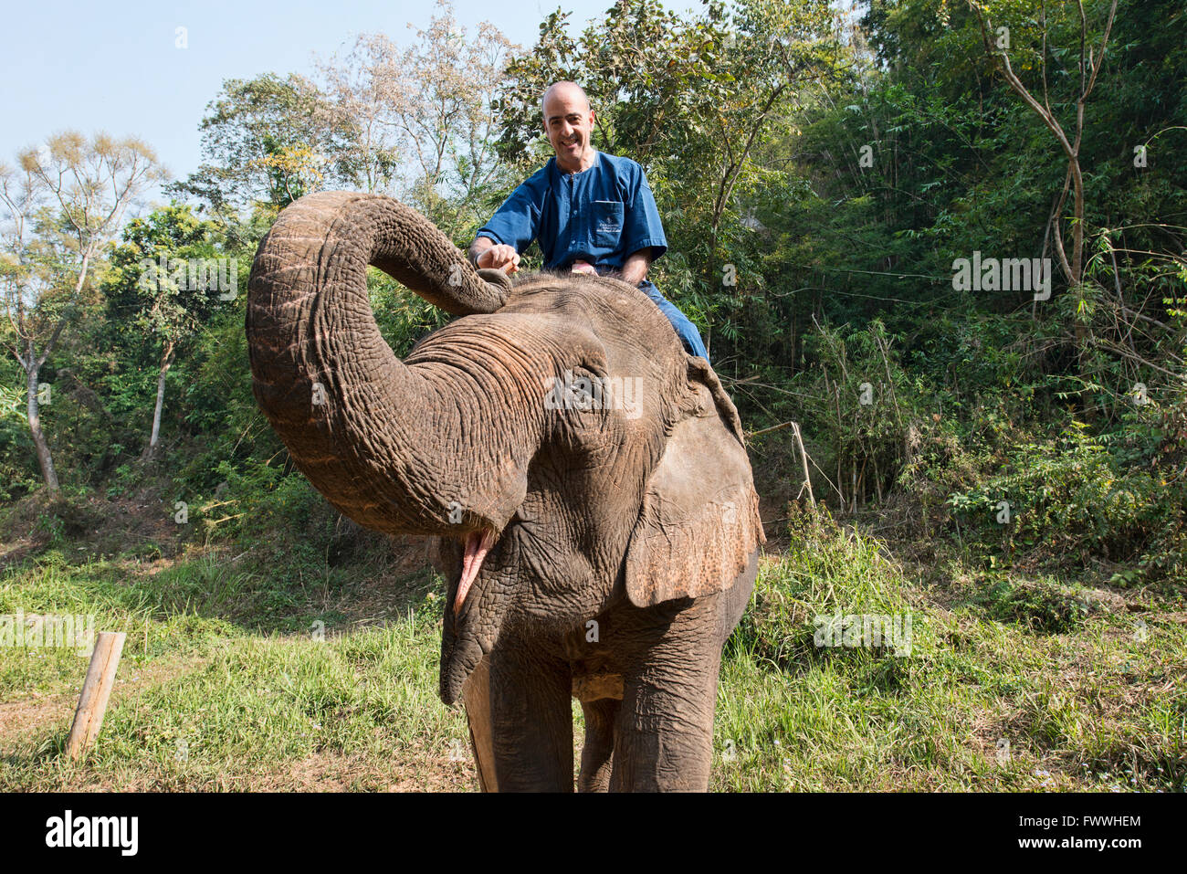 Tourist elephant trekking in northern Thailand Stock Photo - Alamy