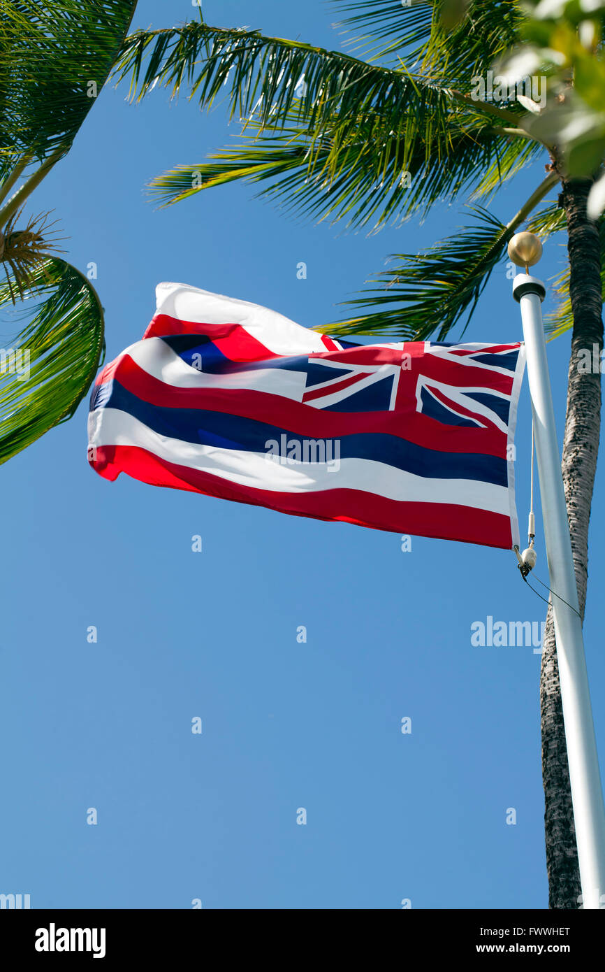 Hawaii state flag seen from low angle on pole blue sky Stock Photo - Alamy