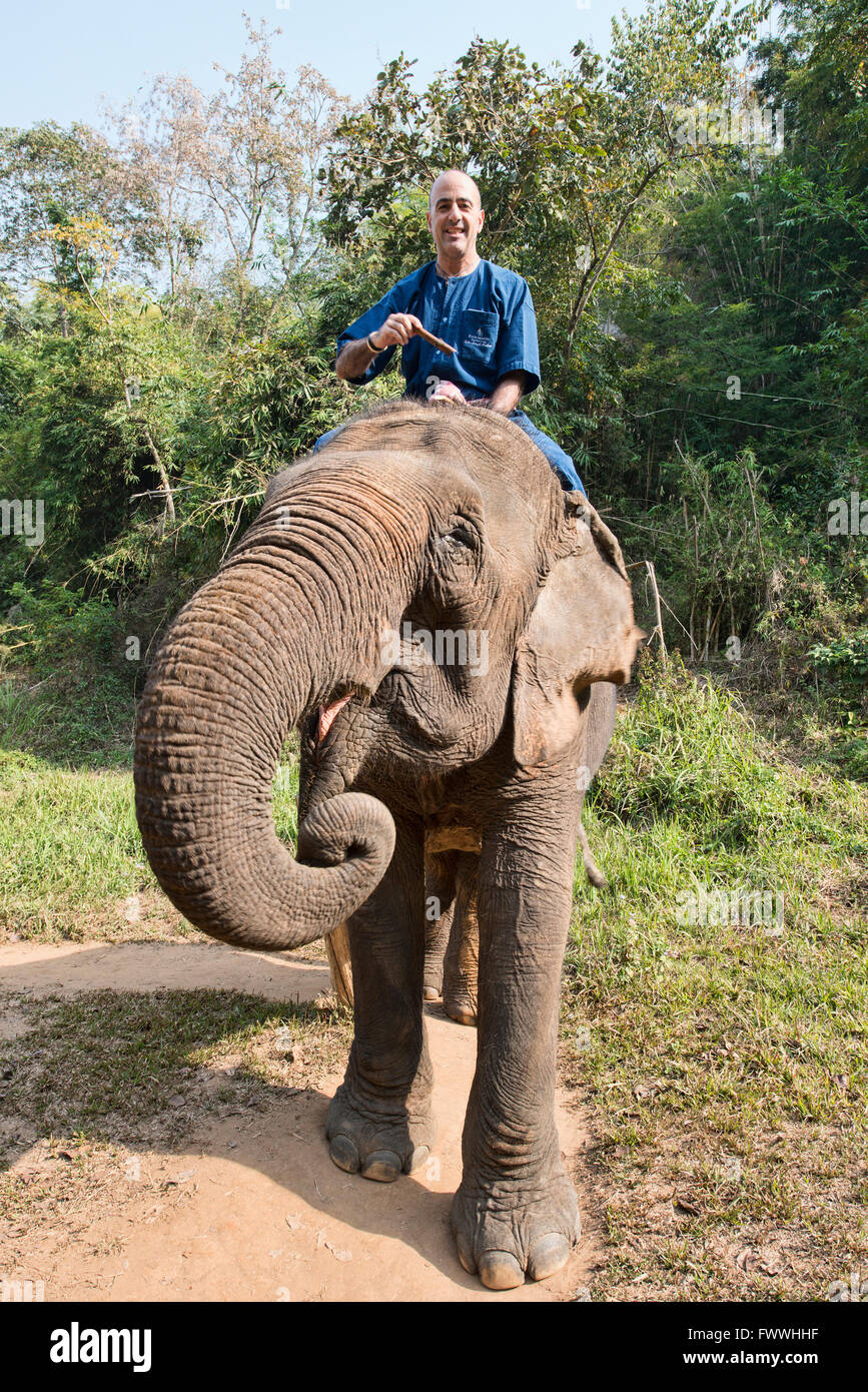 Tourist elephant trekking in northern Thailand Stock Photo - Alamy