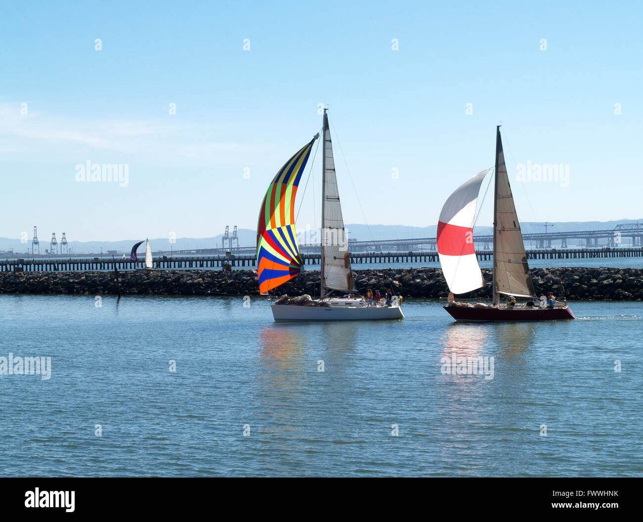 Sailboats under spinnaker sails running into the marina Stock Photo - Alamy