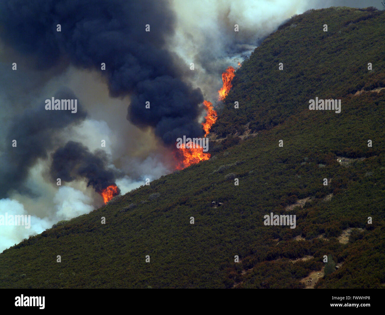 Wildfire column hi-res stock photography and images - Alamy