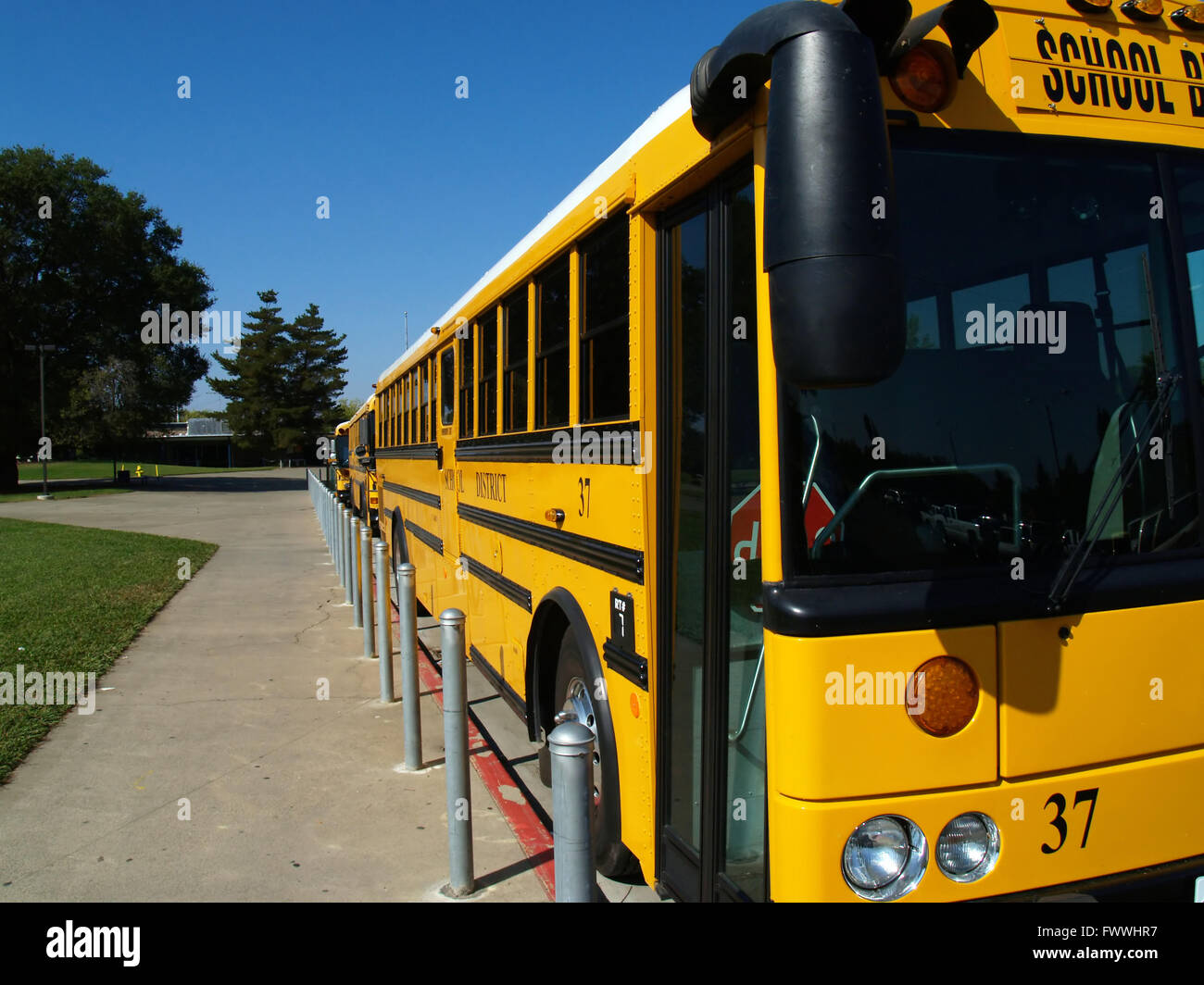 Three school buses parked along curb in parking lot Stock Photo - Alamy