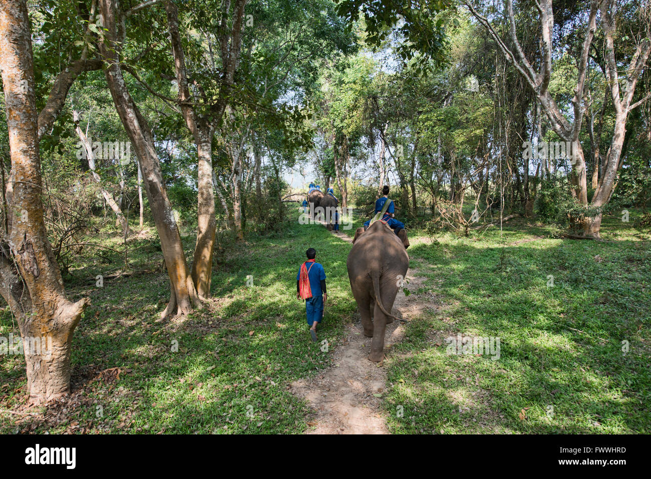 Elephant trek golden triangle hi-res stock photography and images - Alamy