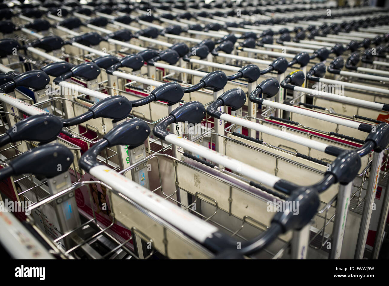 luggage trolleys at the airport Stock Photo - Alamy