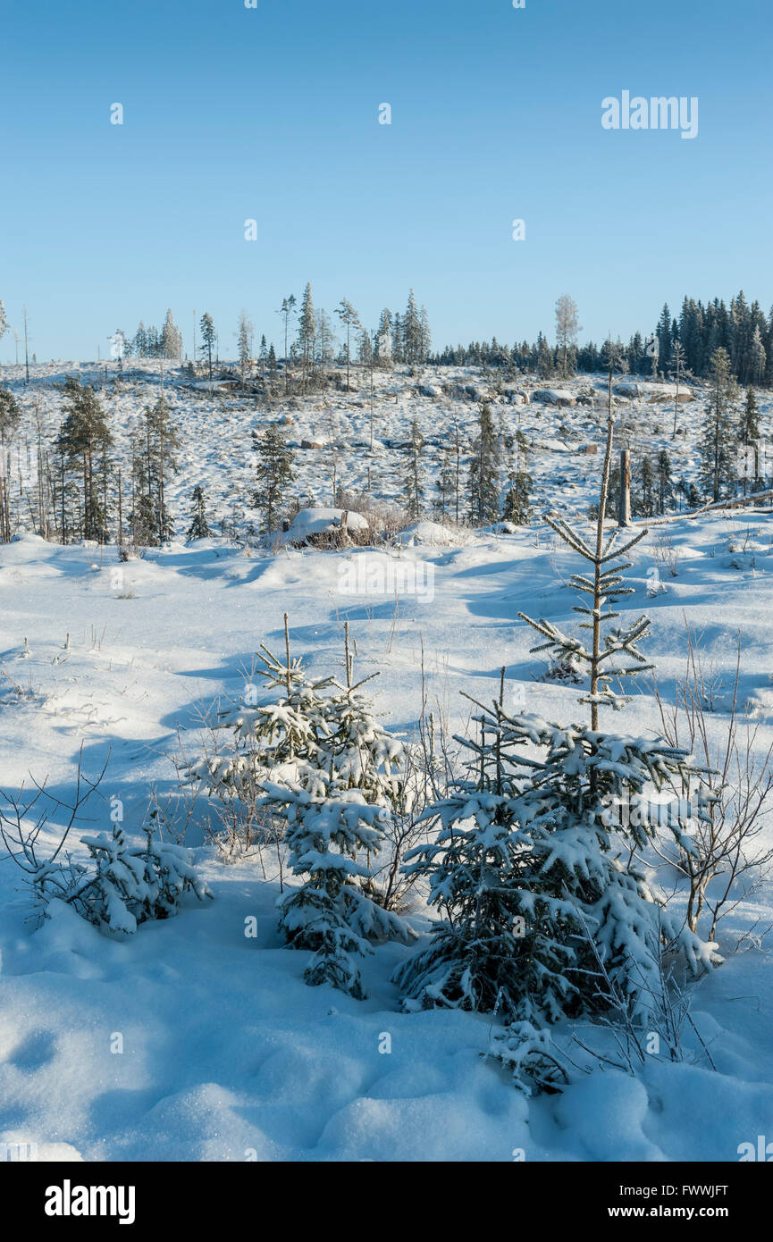 Kalhygge hi-res stock photography and images - Alamy