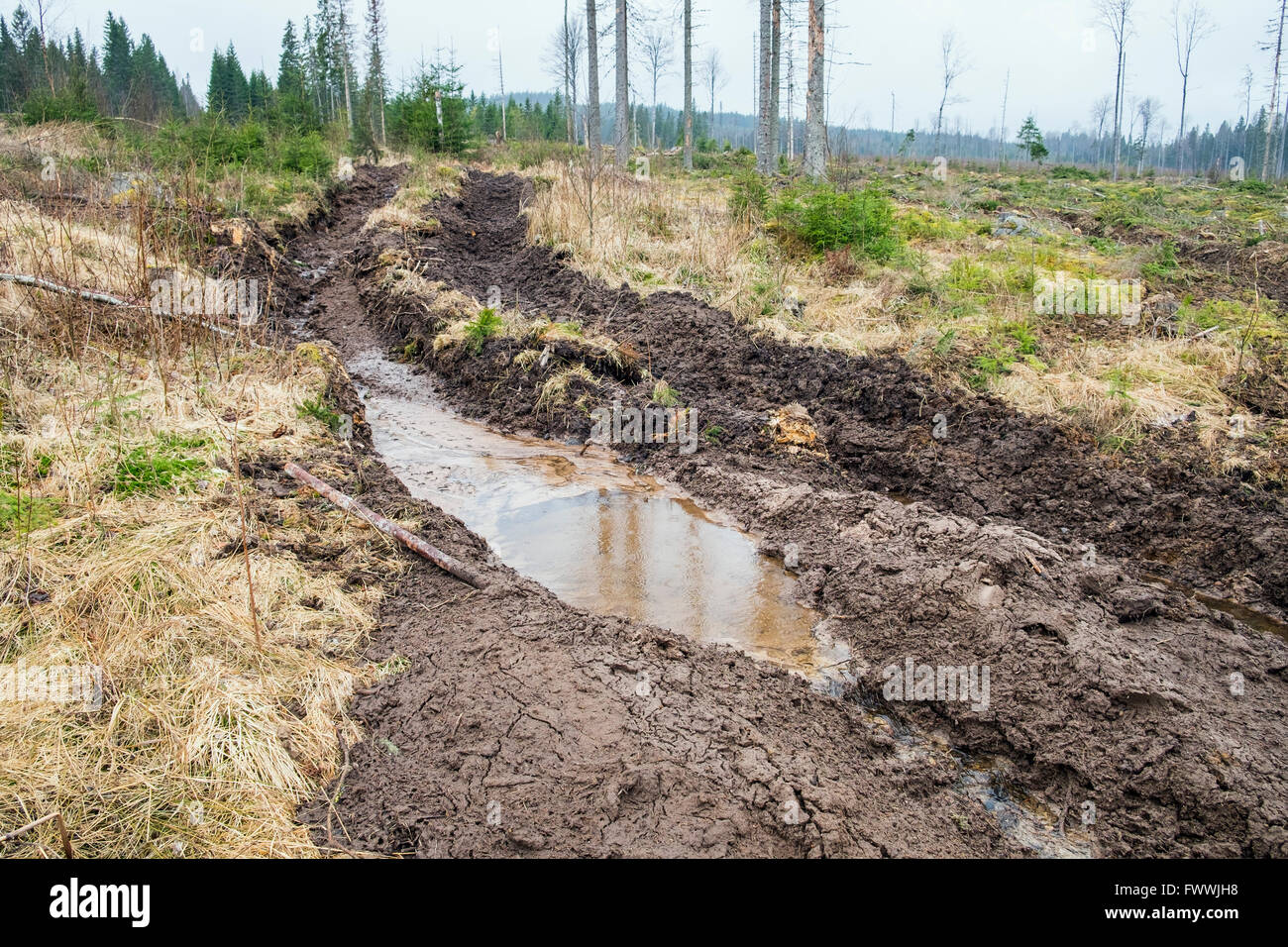 Land damages from logging Stock Photo - Alamy