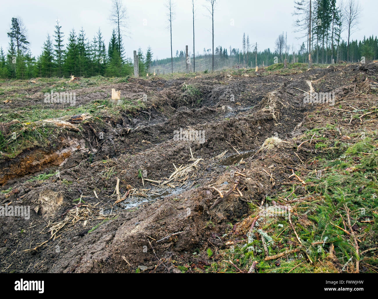 Cutting land hi-res stock photography and images - Alamy