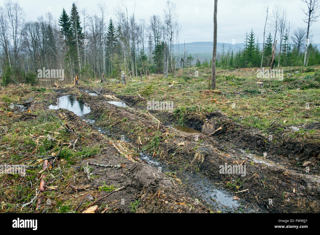 Damage to land hi-res stock photography and images - Alamy