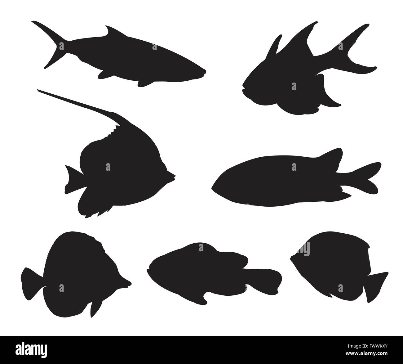 Fish Set Silhouettes on the white background Stock Vector Image & Art ...