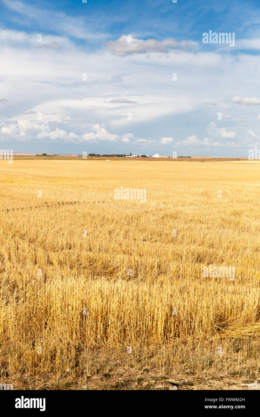 Swift current saskatchewan hi-res stock photography and images - Alamy