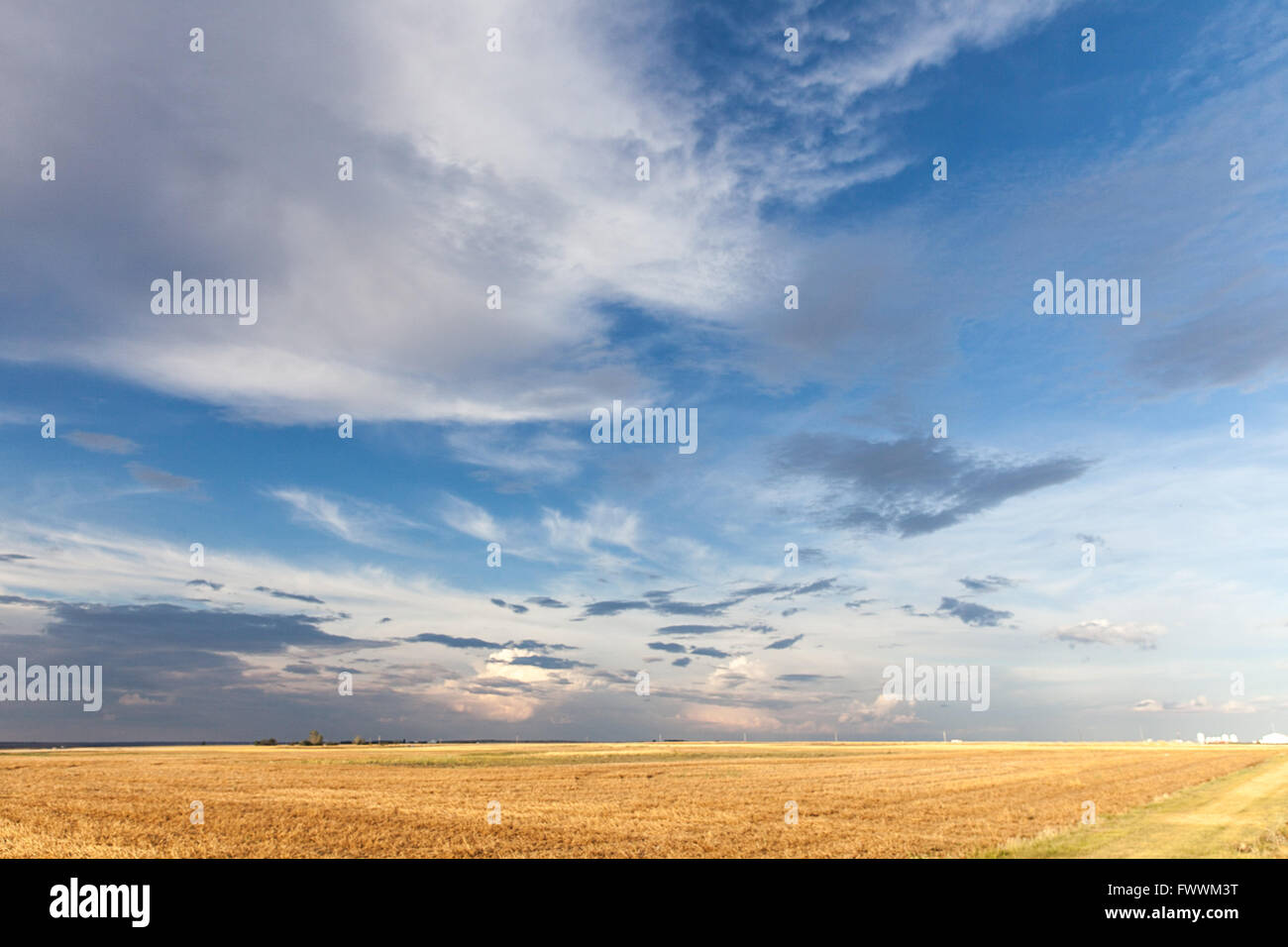 Wheat fields in Saskatchewan, Canada Stock Photo - Alamy
