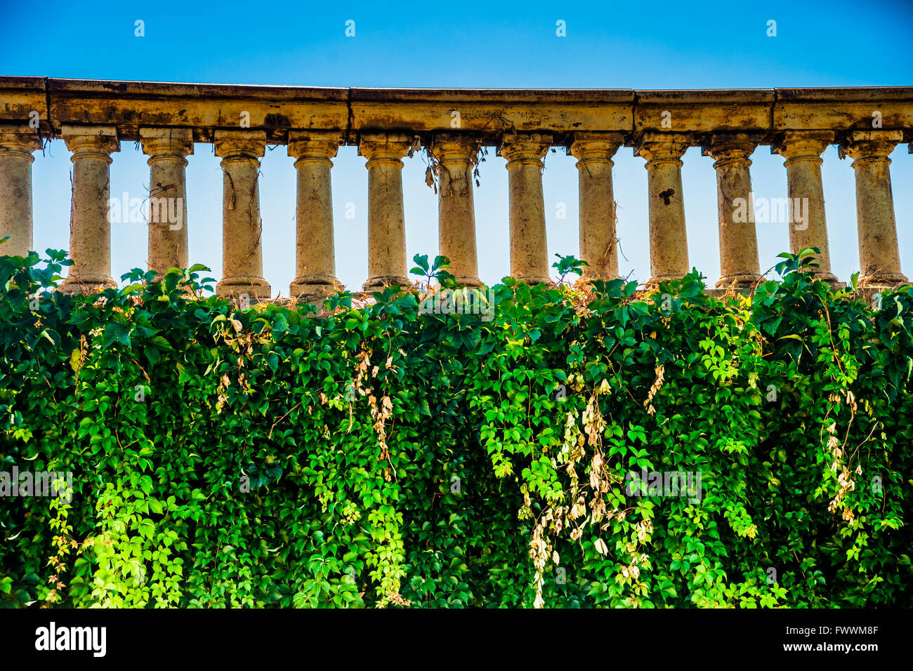 Wall with ivi and weathered historic balustrade Stock Photo - Alamy