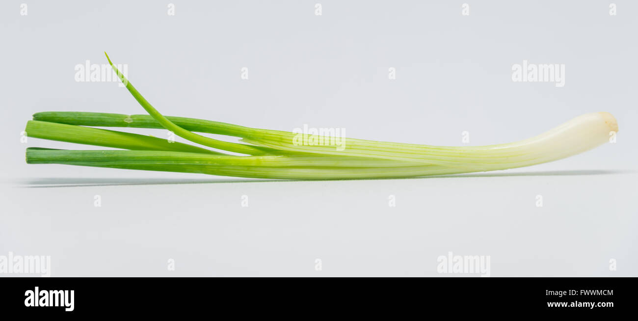 Fresh Spring onion with white background 2 Stock Photo - Alamy