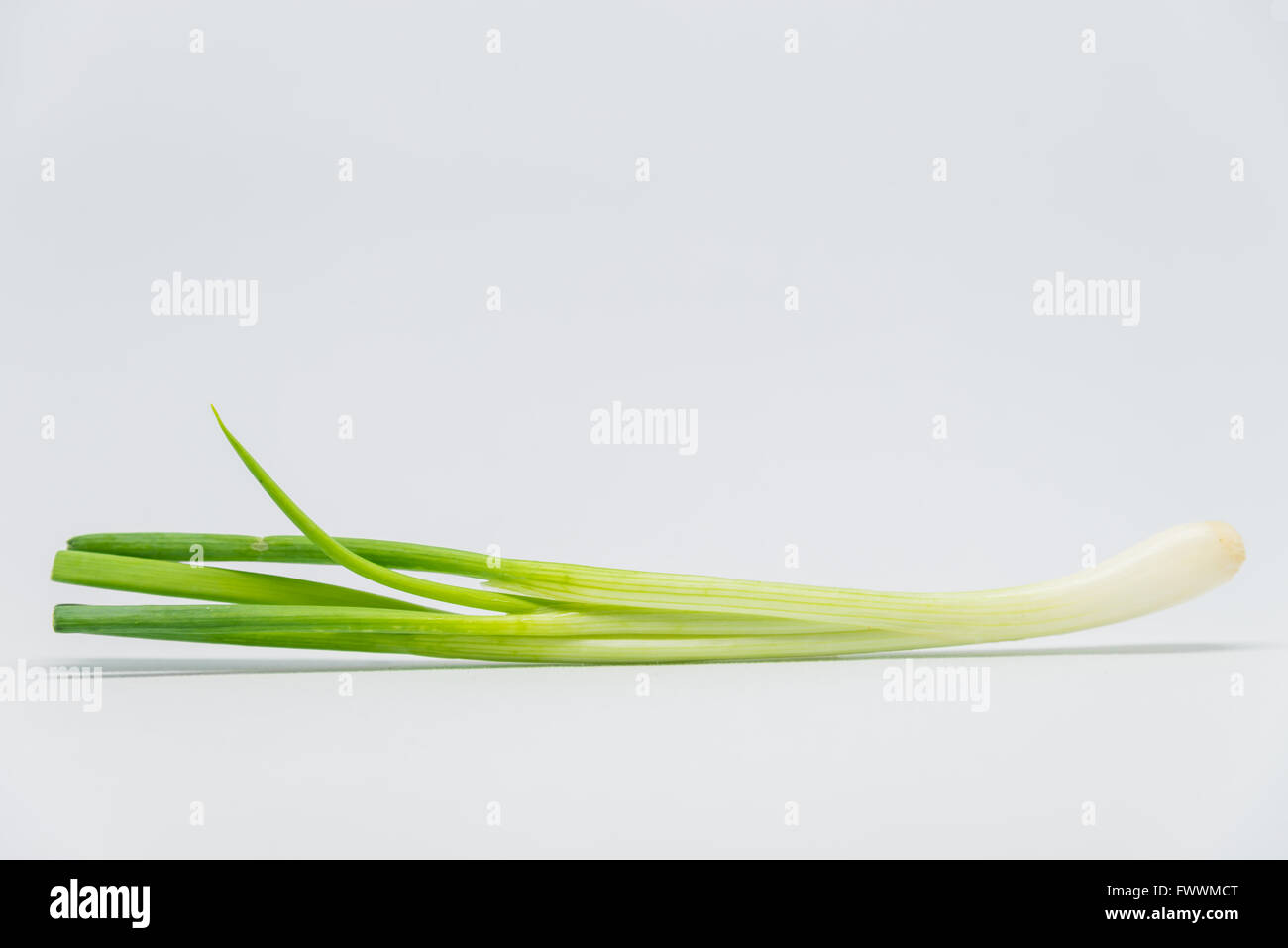 Fresh Spring onion with white background Stock Photo - Alamy