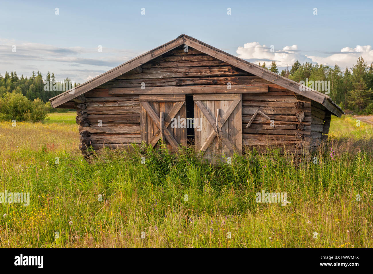 Rustic vintage old ancient traditional hay barn in northern sweden hi ...