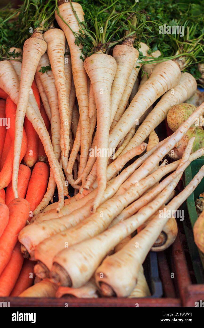 Fresh parsley root vegetable on farmers market Stock Photo - Alamy