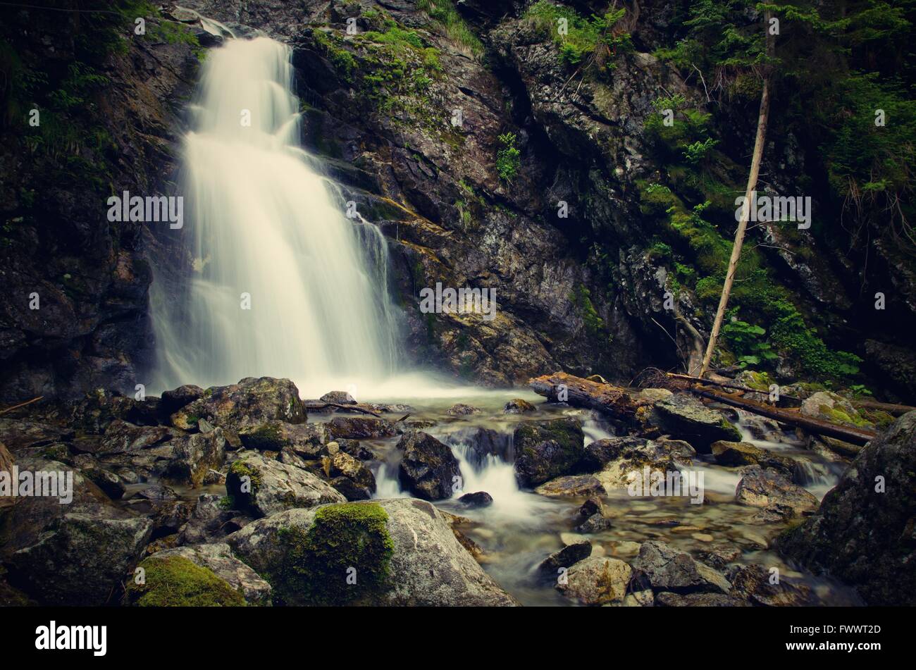 Mighty Huge Waterfall In The Forest High Resolution Stock Photography ...