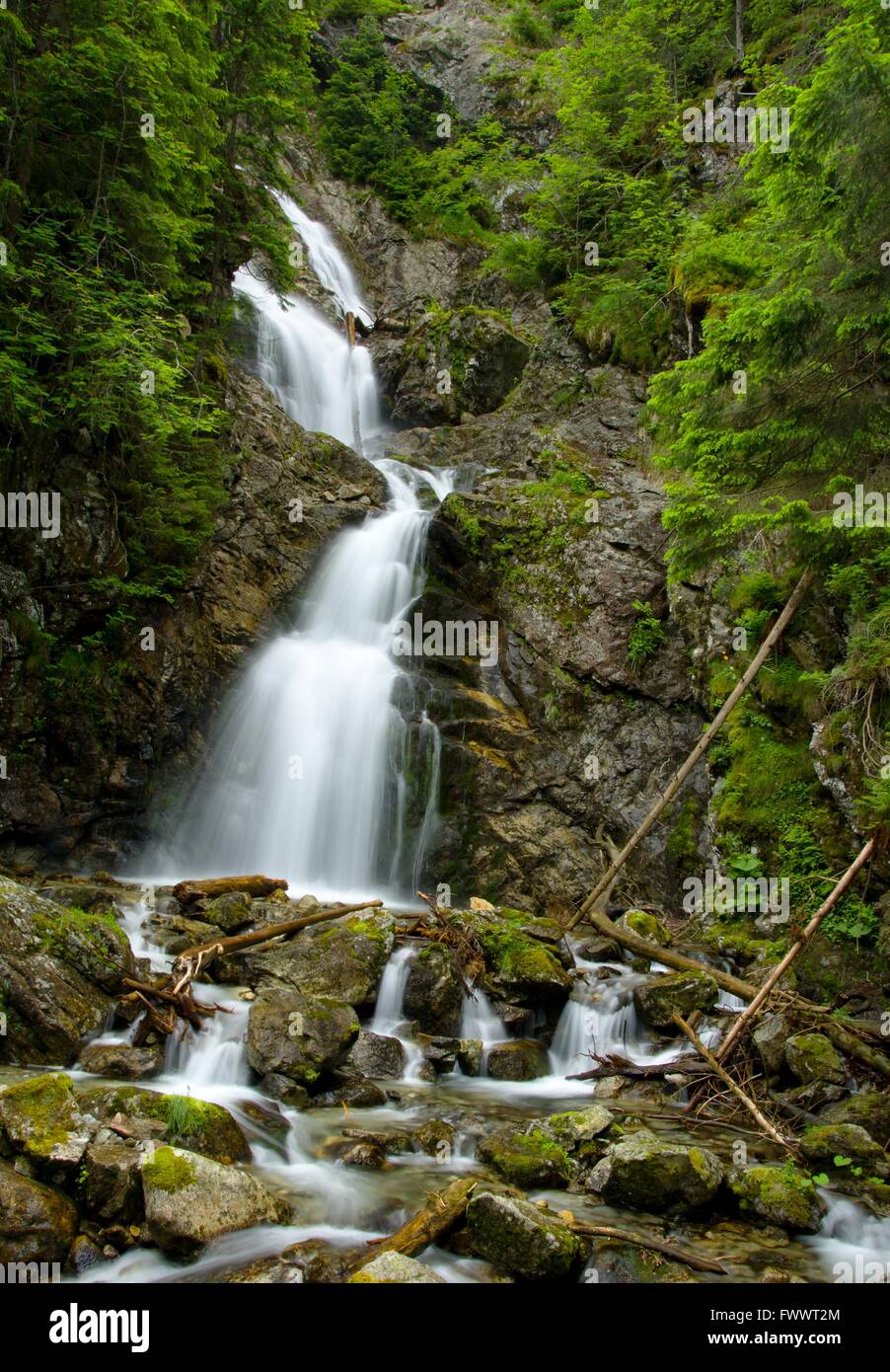 Very high amazing waterfall in a wooded mountainous landscape Stock ...