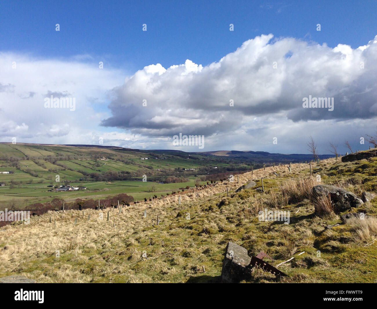 Holwick hi-res stock photography and images - Alamy