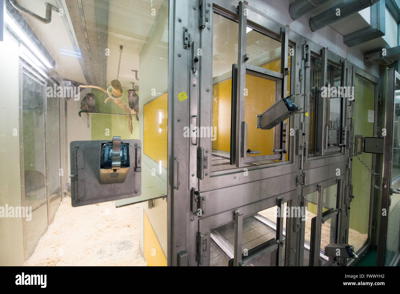 Medical cybernetics hi-res stock photography and images - Alamy