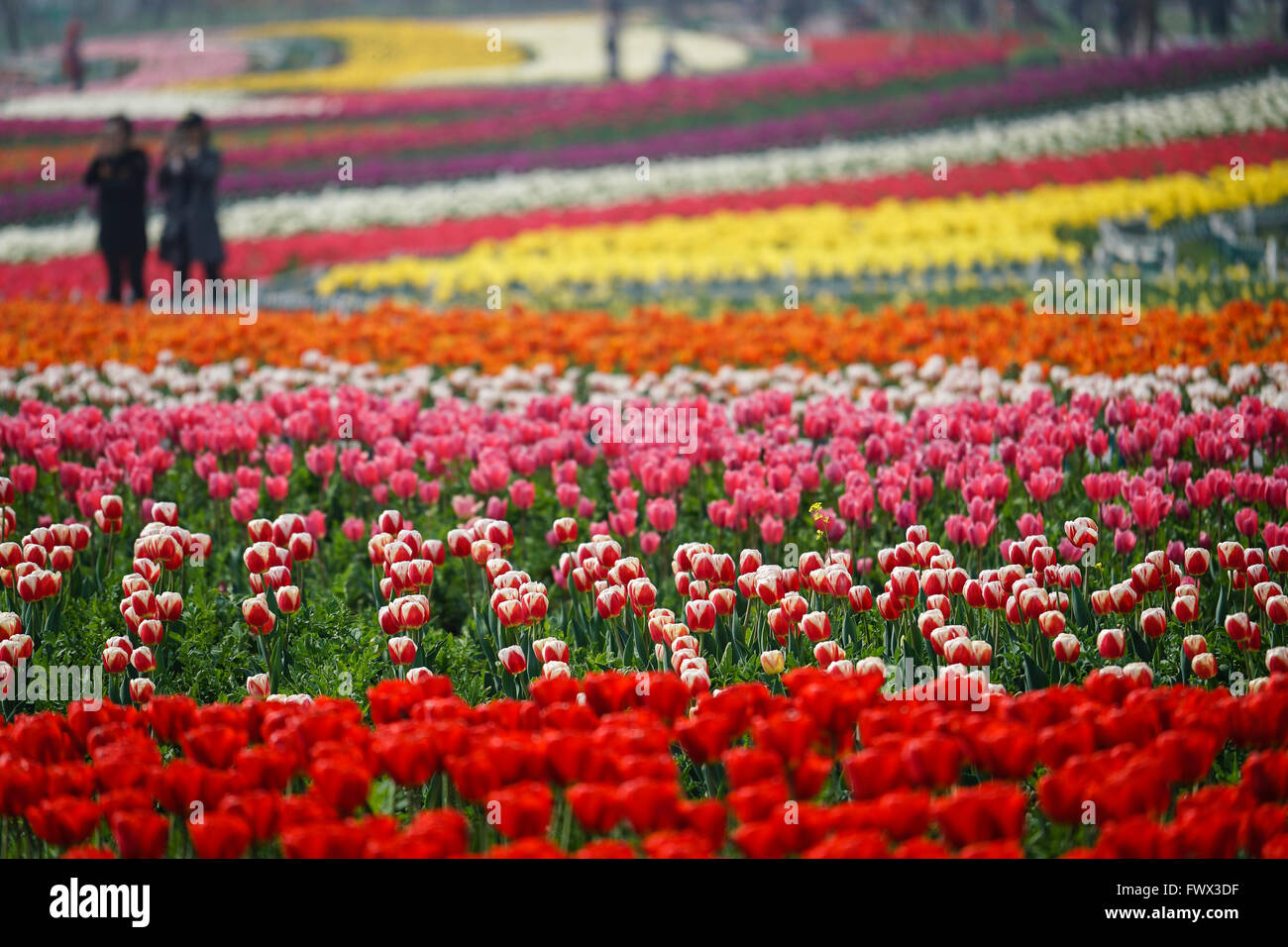 Full matrix hi-res stock photography and images - Alamy