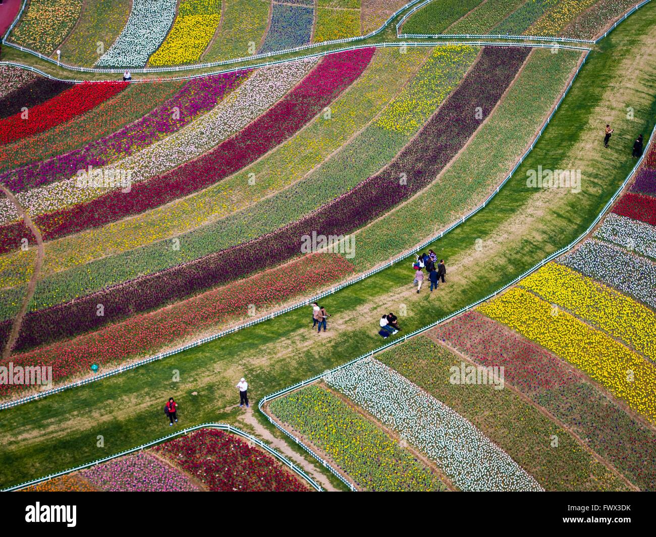 Yancheng, China's Jiangsu Province. 8th Apr, 2016. Tourists wander ...