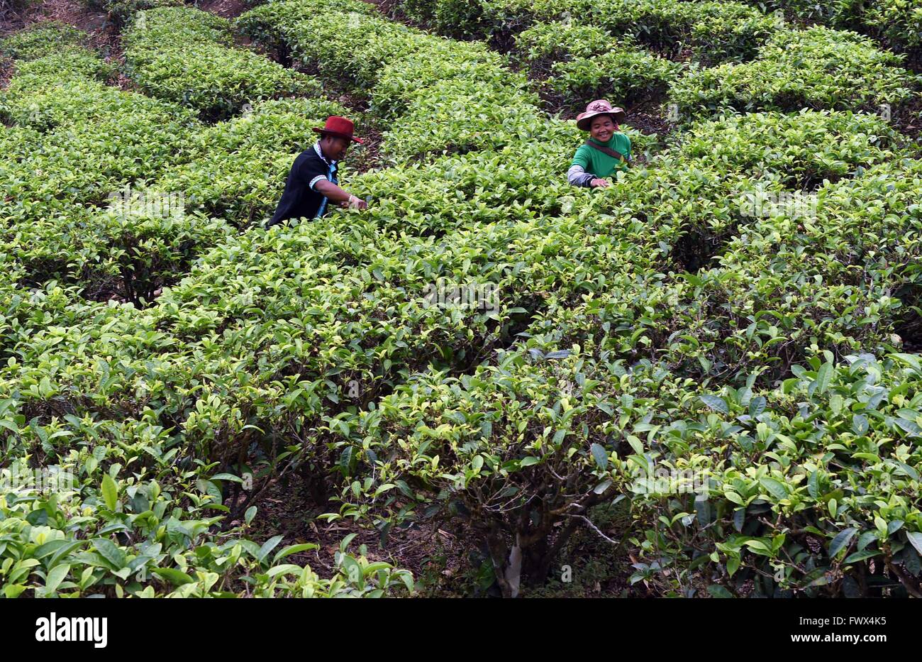 Expecting precipitation hi-res stock photography and images - Alamy