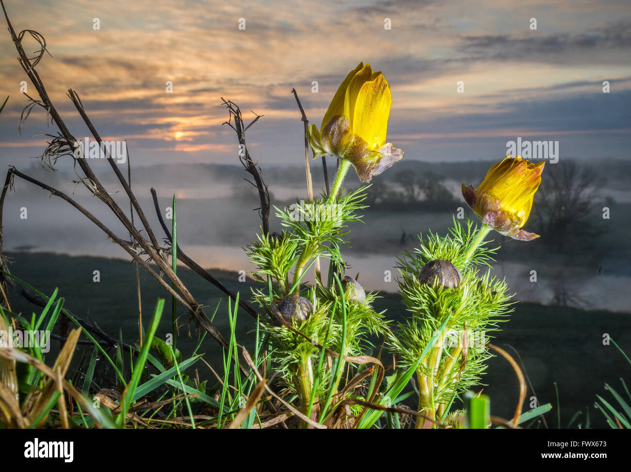 Adonis river hi-res stock photography and images - Alamy