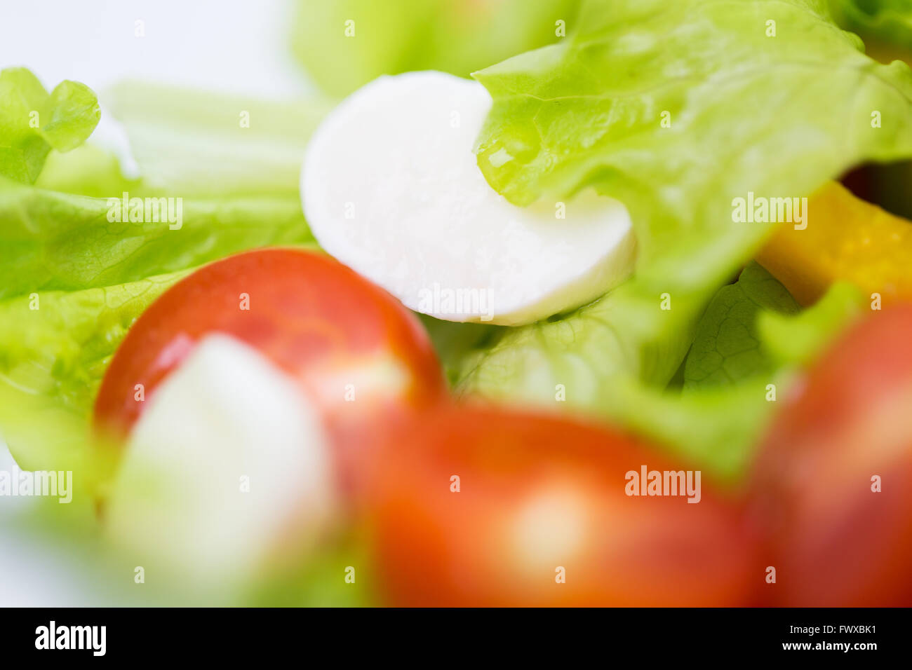 close up of vegetable salad with mozzarella cheese Stock Photo - Alamy