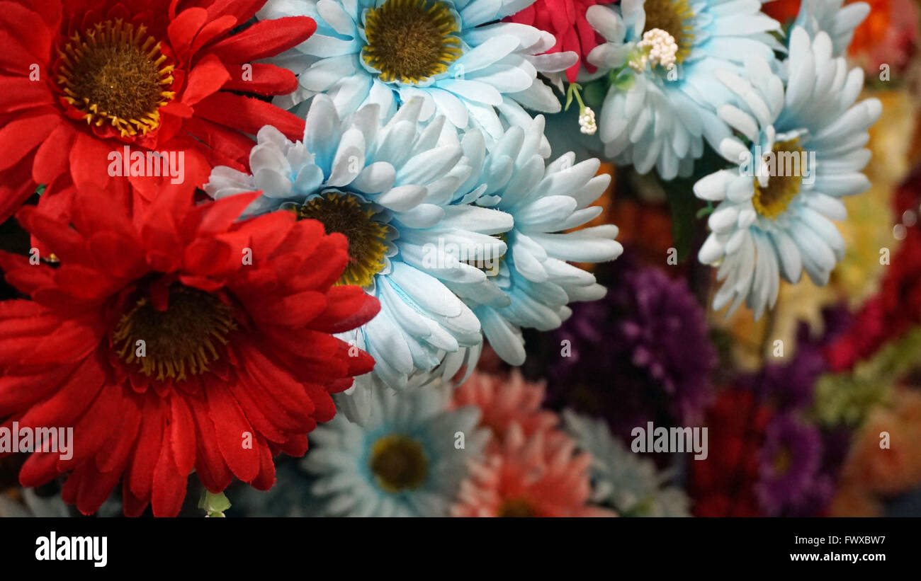 flowers at chatuchak market in bangkok Stock Photo - Alamy