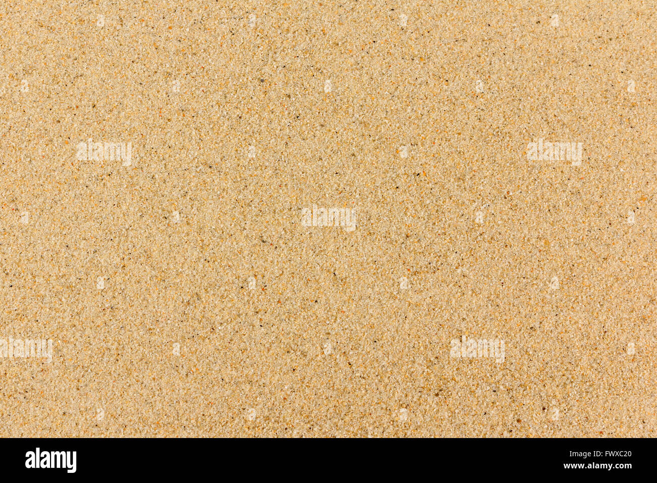 Sand grain hi-res stock photography and images - Alamy