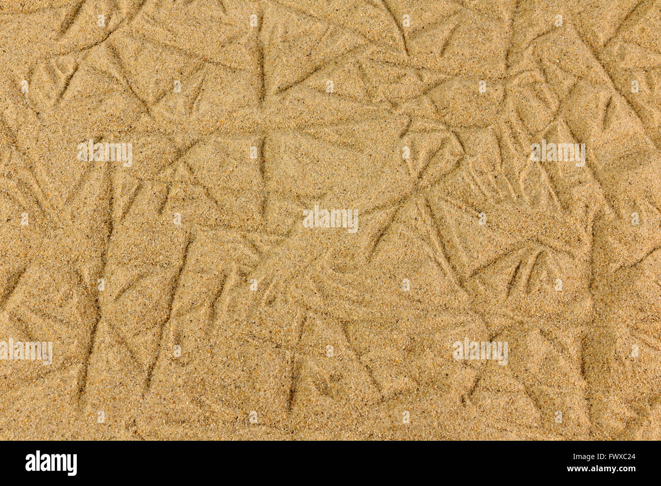 Dry sand hi-res stock photography and images - Alamy