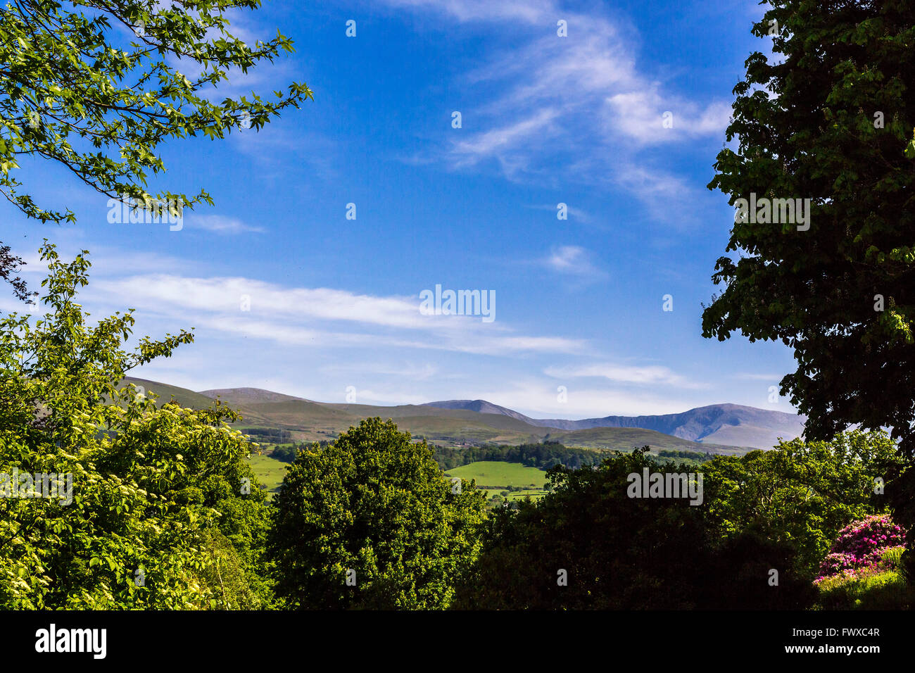 Penrhyn castle wales hi-res stock photography and images - Alamy