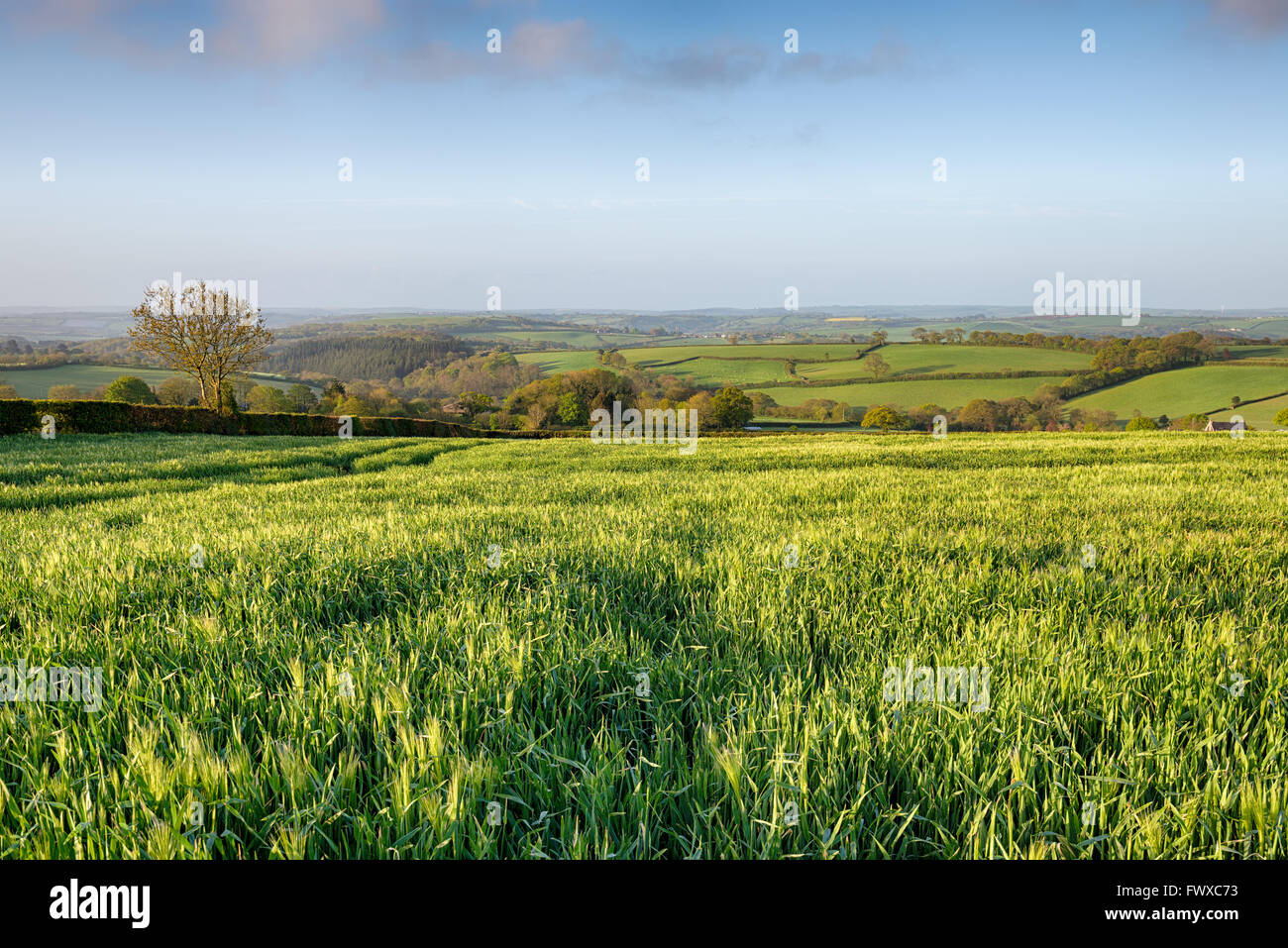 English spring countryside hi-res stock photography and images - Alamy