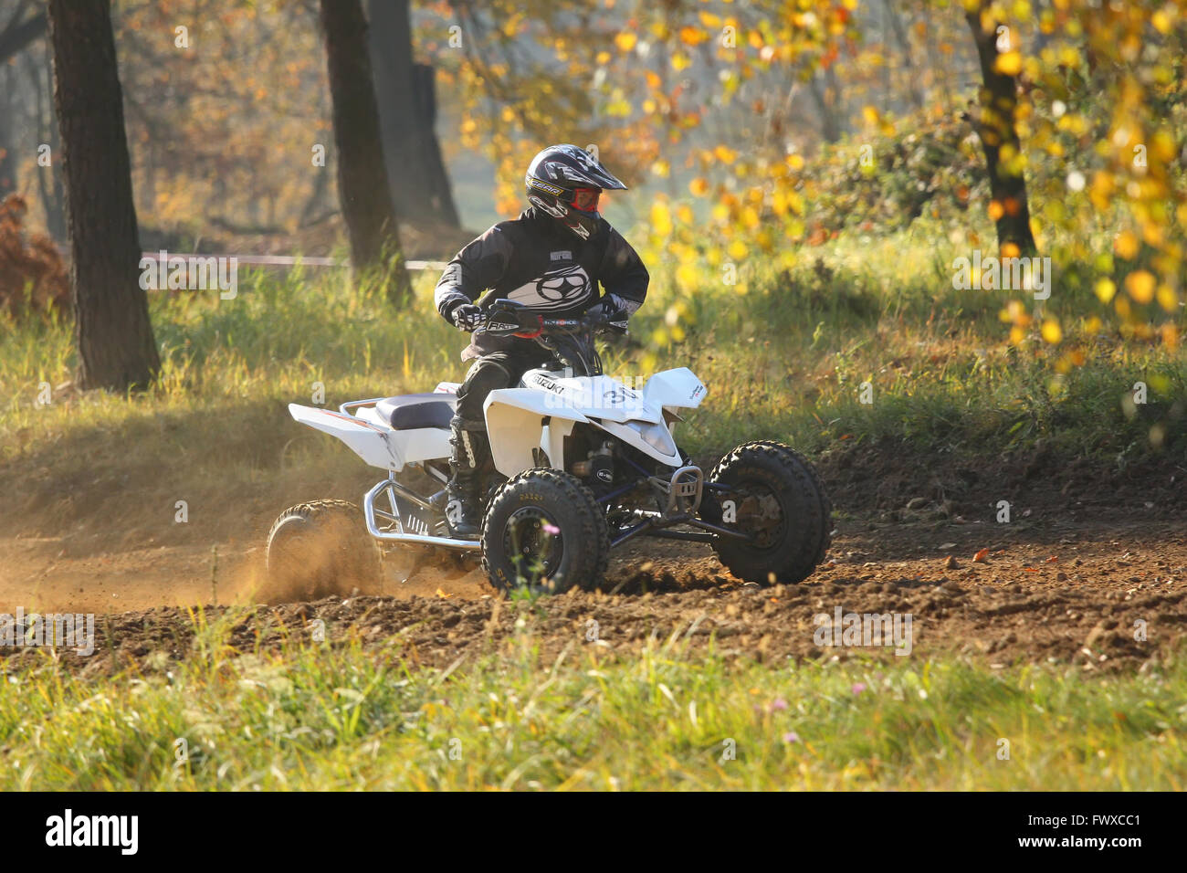 Quad racer is riding in the autumn nature Stock Photo - Alamy