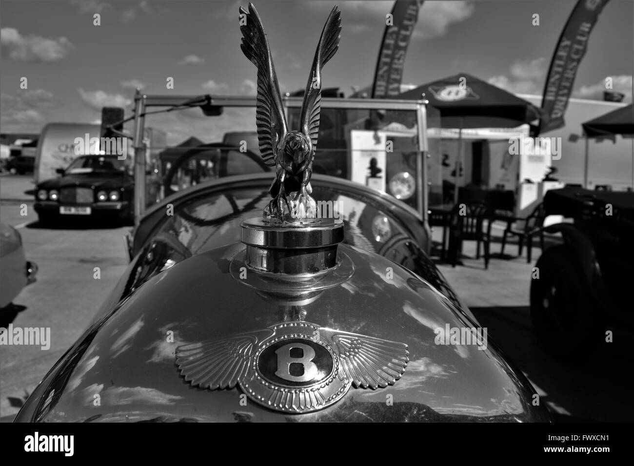 Bentley badge hi-res stock photography and images - Alamy