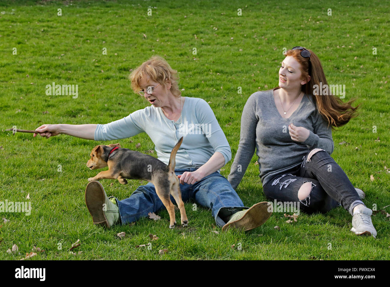 mother and daughter with their small dog Stock Photo - Alamy