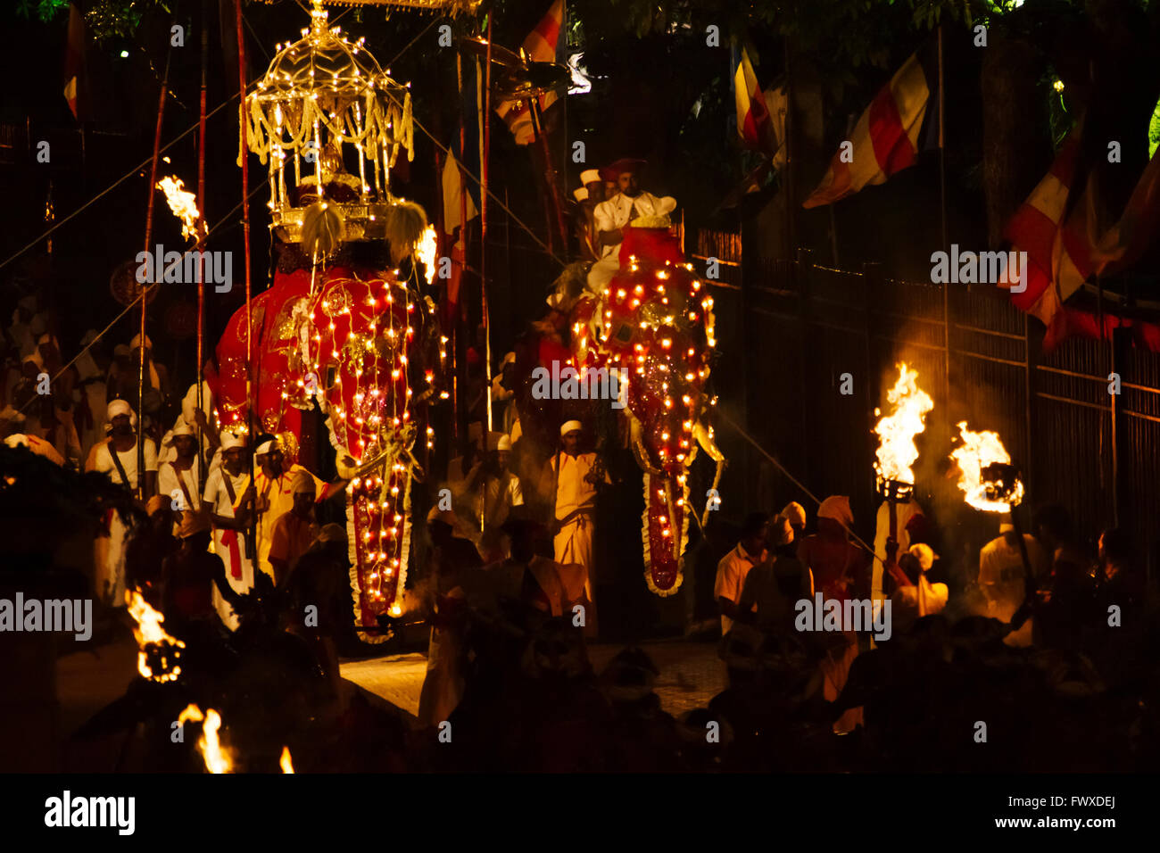 Dancers and elephant in the procession at Kandy Esala Perahera, Kandy ...