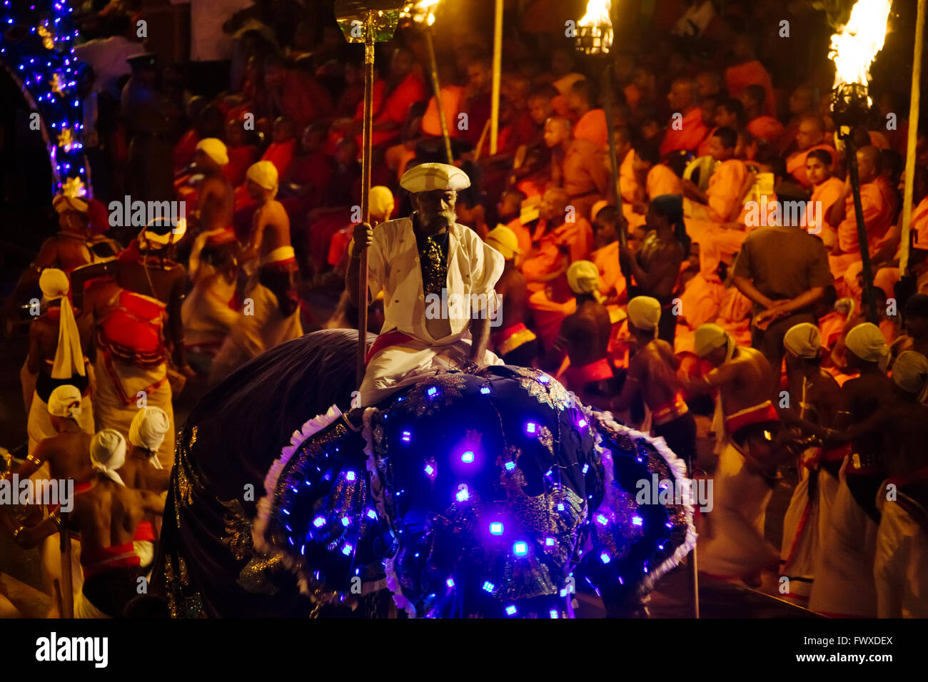 Dancers and elephant in the procession at Kandy Esala Perahera, Kandy ...