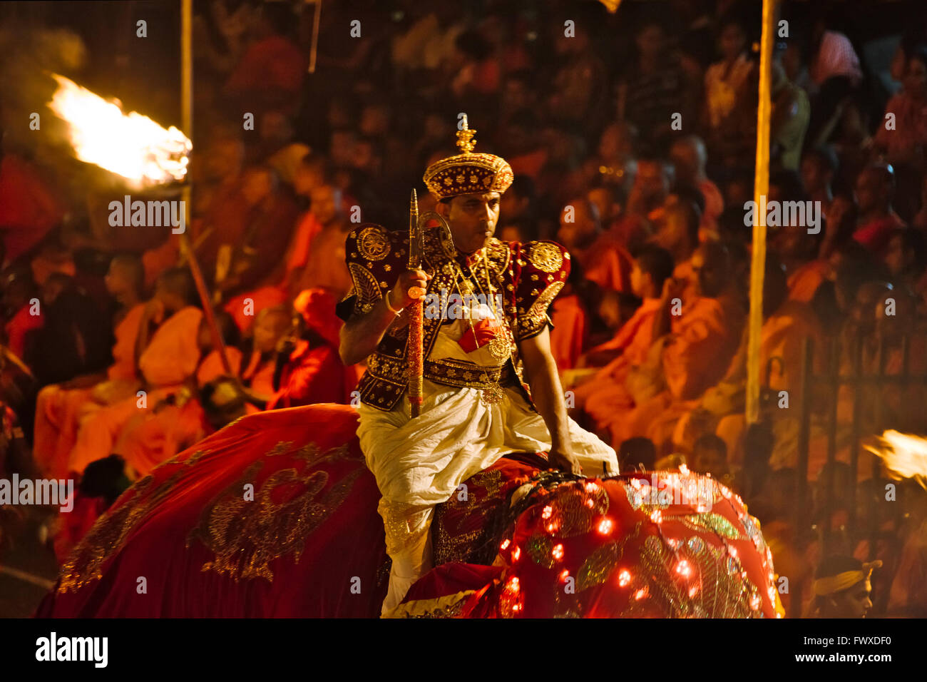 Elephant in the procession at Kandy Esala Perahera, Kandy, Sri Lanka ...