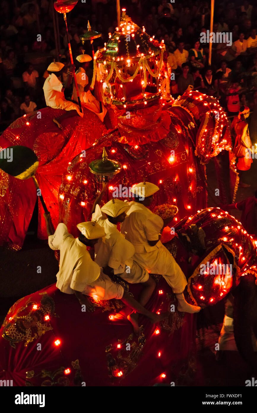 Elephant in the procession at Kandy Esala Perahera, Kandy, Sri Lanka ...
