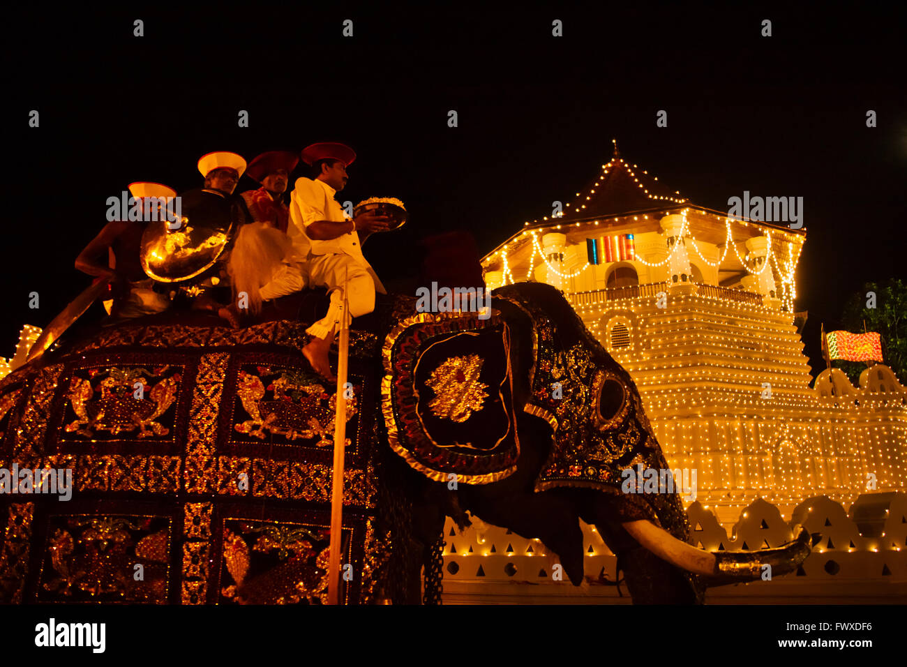 Elephant procession passes by the Temple of Tooth during Kandy Esala ...