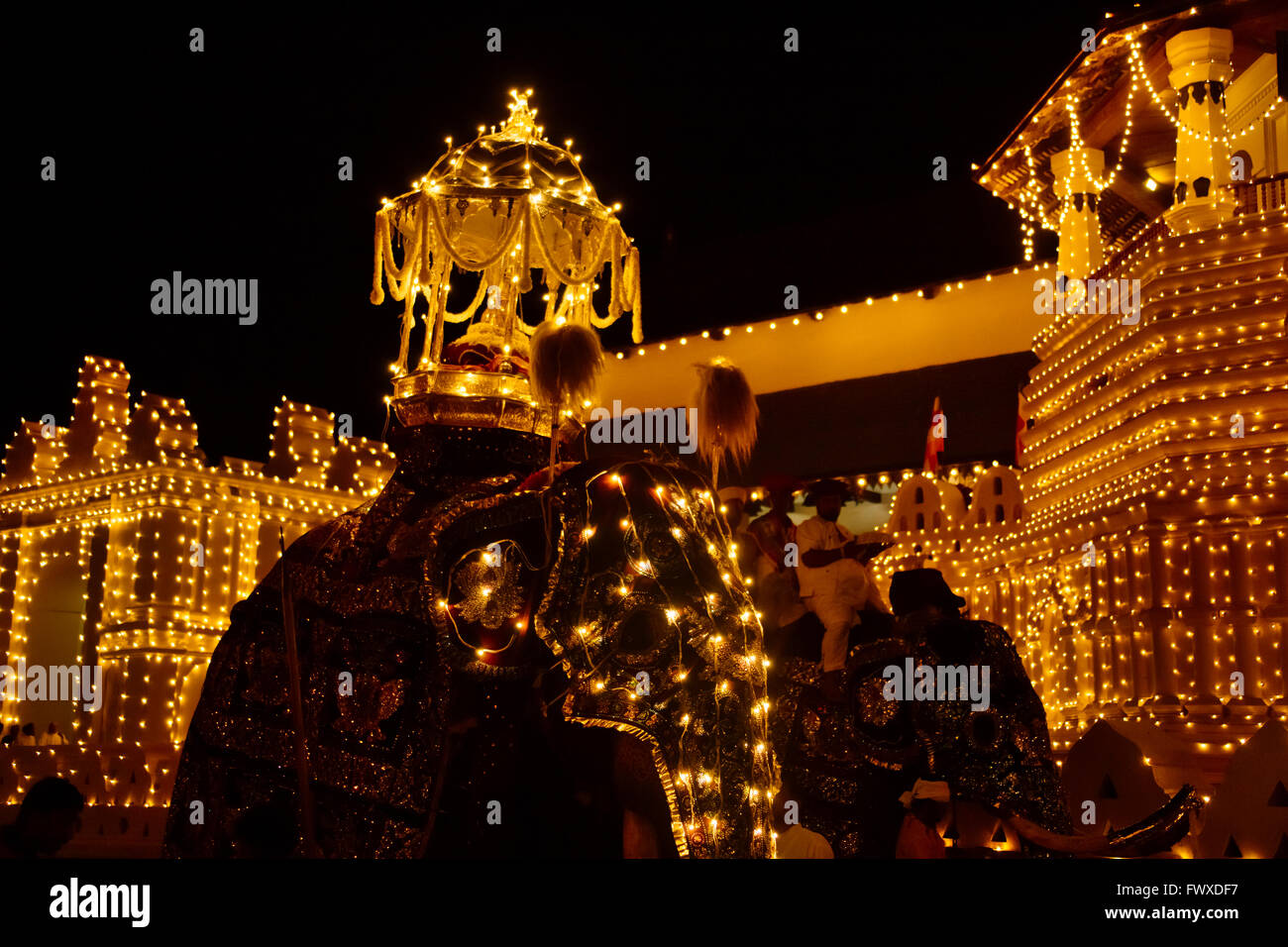 Elephant procession passes by the Temple of Tooth during Kandy Esala ...