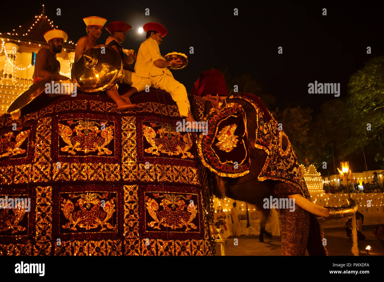 Elephant procession passes by the Temple of Tooth during Kandy Esala ...