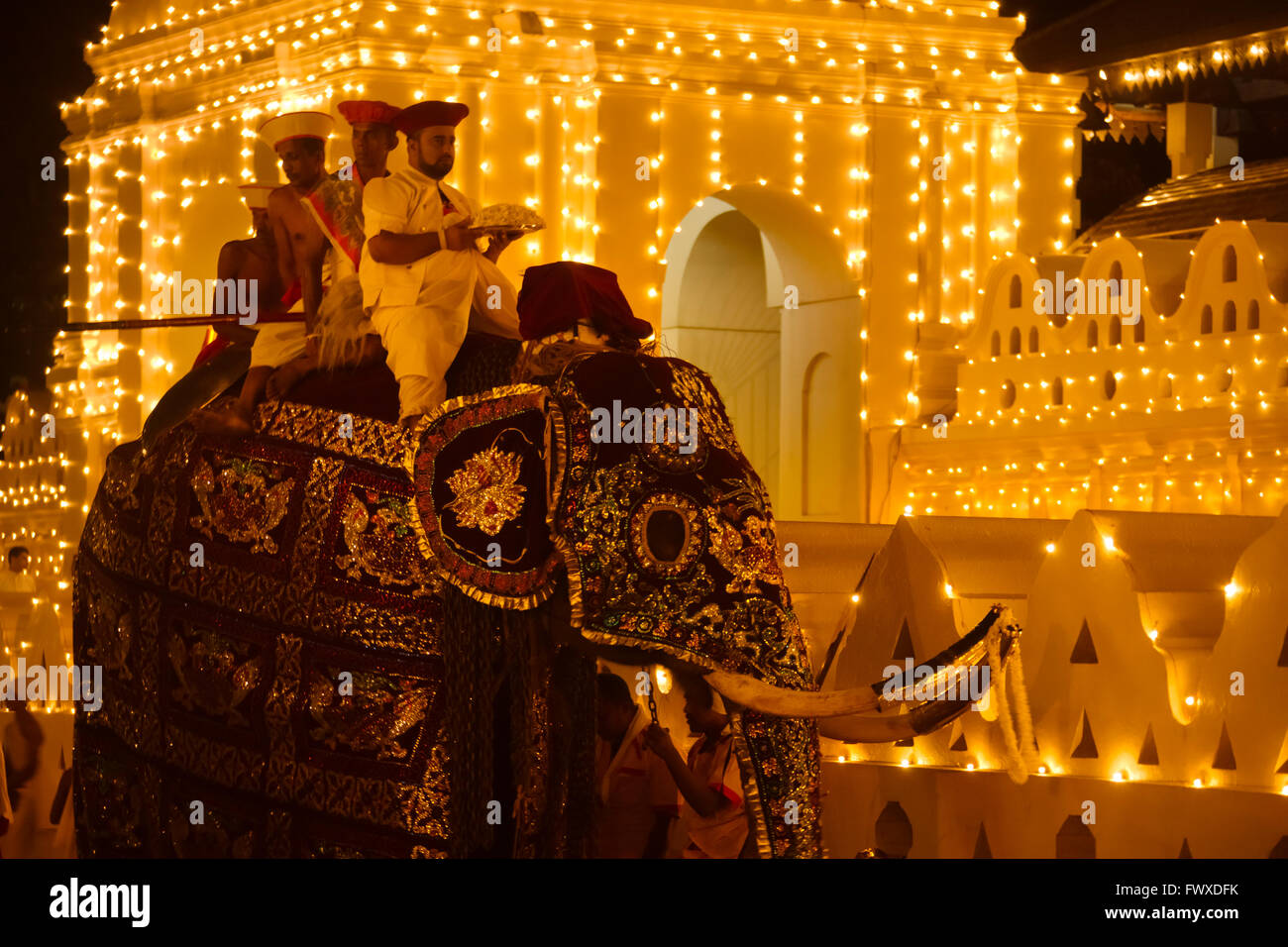 Elephant procession passes by the Temple of Tooth during Kandy Esala ...