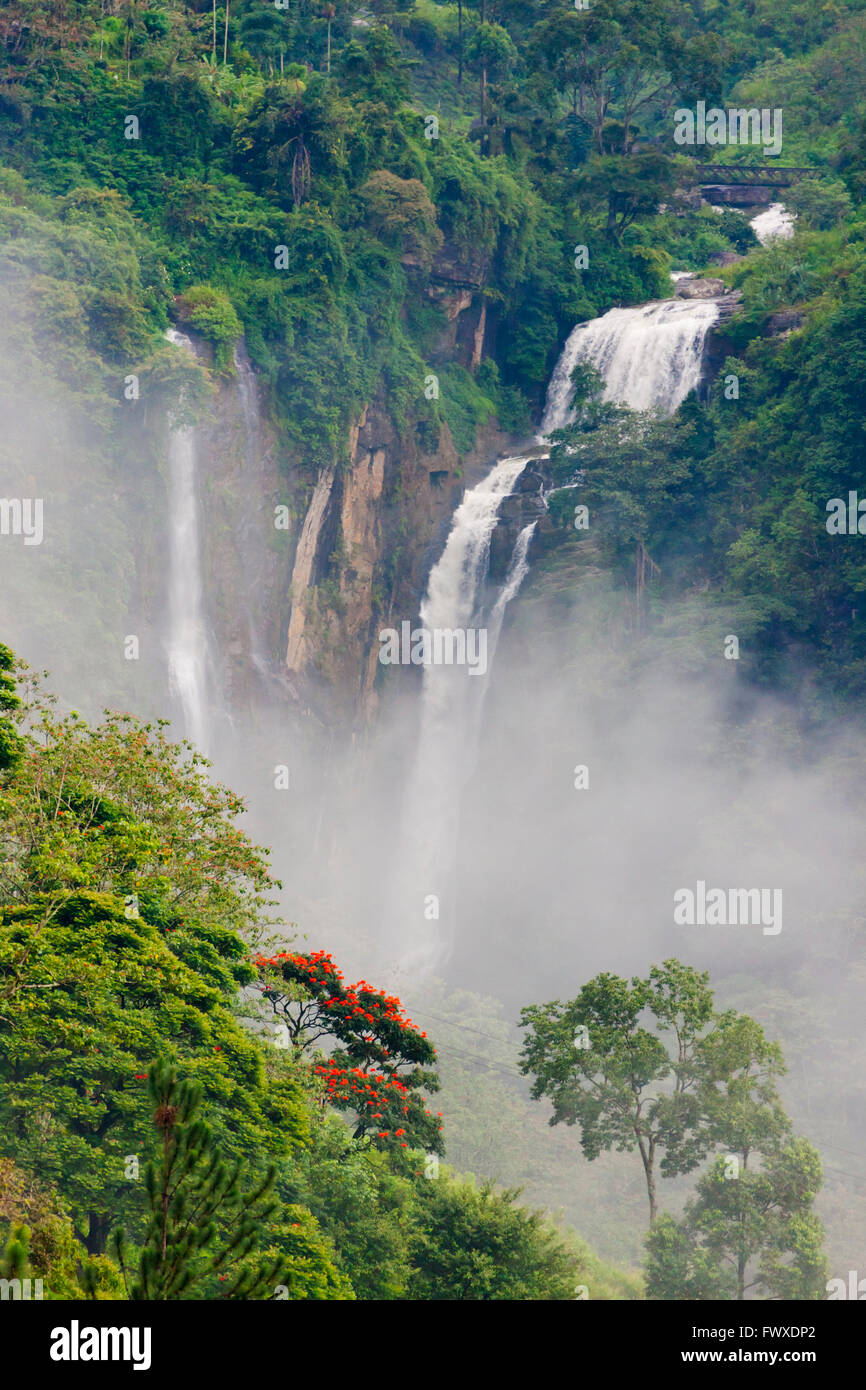 Devon Falls, Talawakele, Central Province, Sri Lanka Stock Photo - Alamy