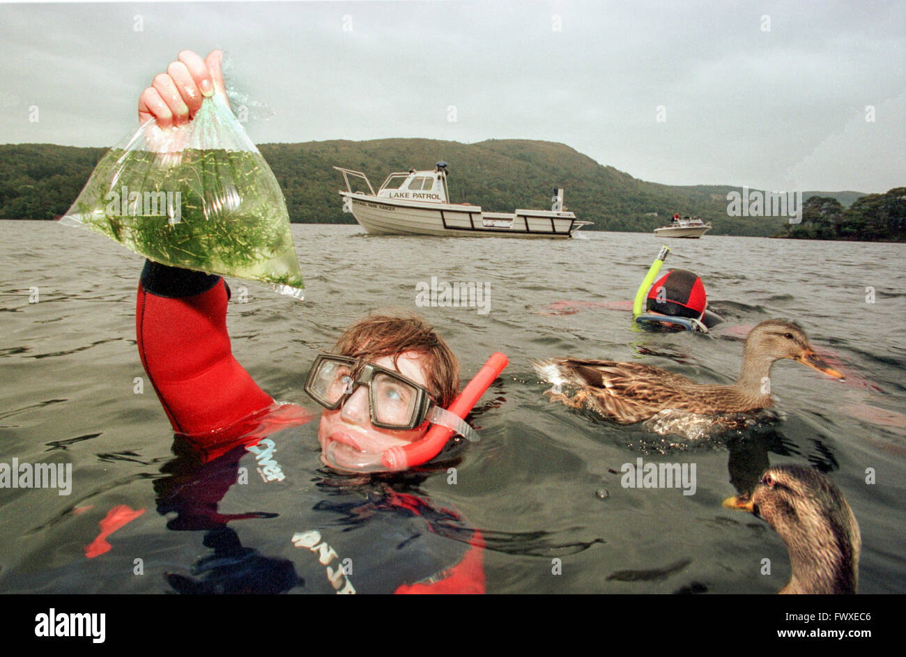 Windermere pollution hi-res stock photography and images - Alamy