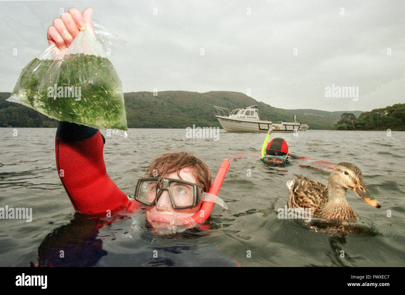 Windermere pollution hi-res stock photography and images - Alamy