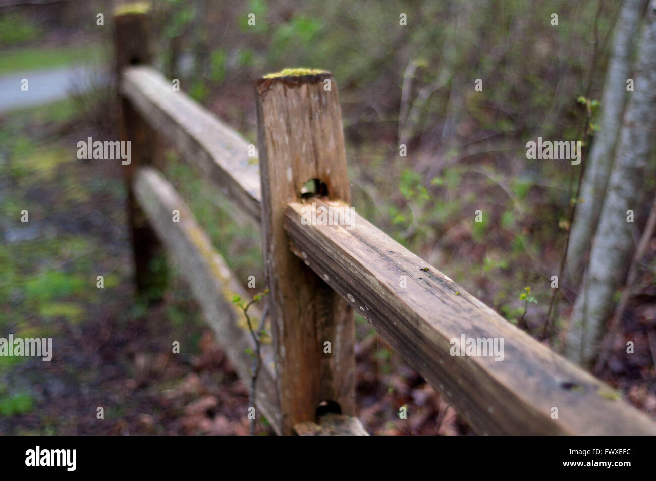 Overgrown fence hi-res stock photography and images - Alamy