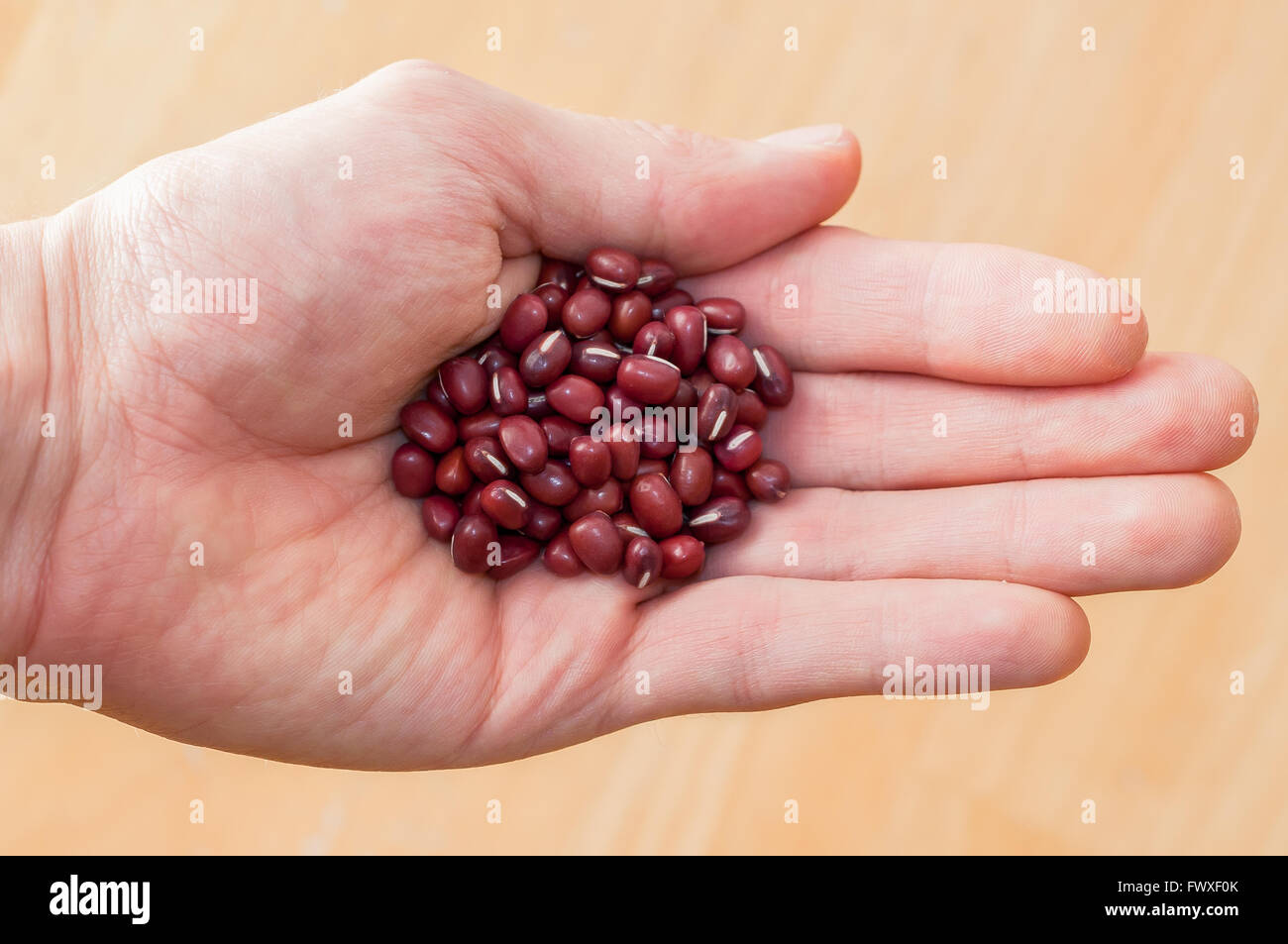 A hand full of Adzuki beans (Vigna angularis Stock Photo - Alamy